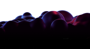 Join the best IDO Pools in Web3 with ChainGPT Launchpad